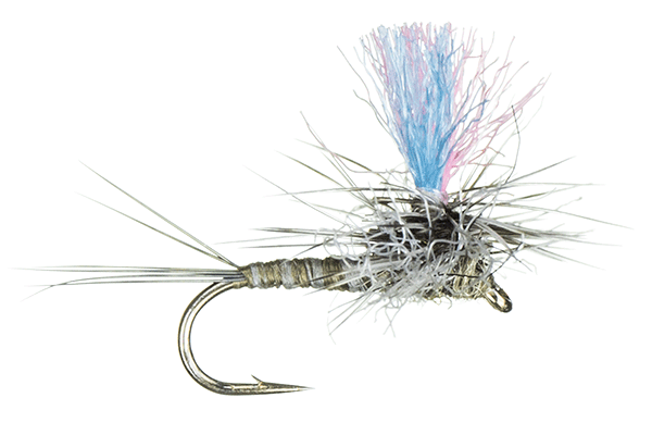 Guide Winna Spinna - BWO | Motor City Anglers