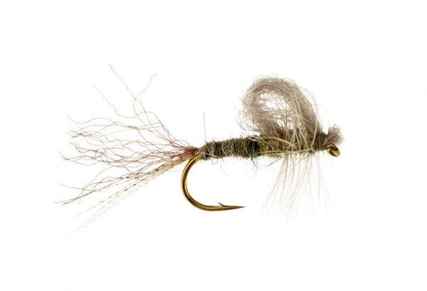 Iso Loopwing Emerger | Motor City Anglers