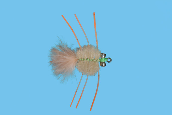Permit Crab | Motor City Anglers